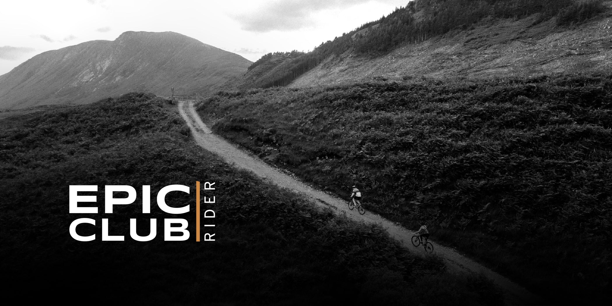 Size Chart - PINARELLO Bikes – Epic Cycles