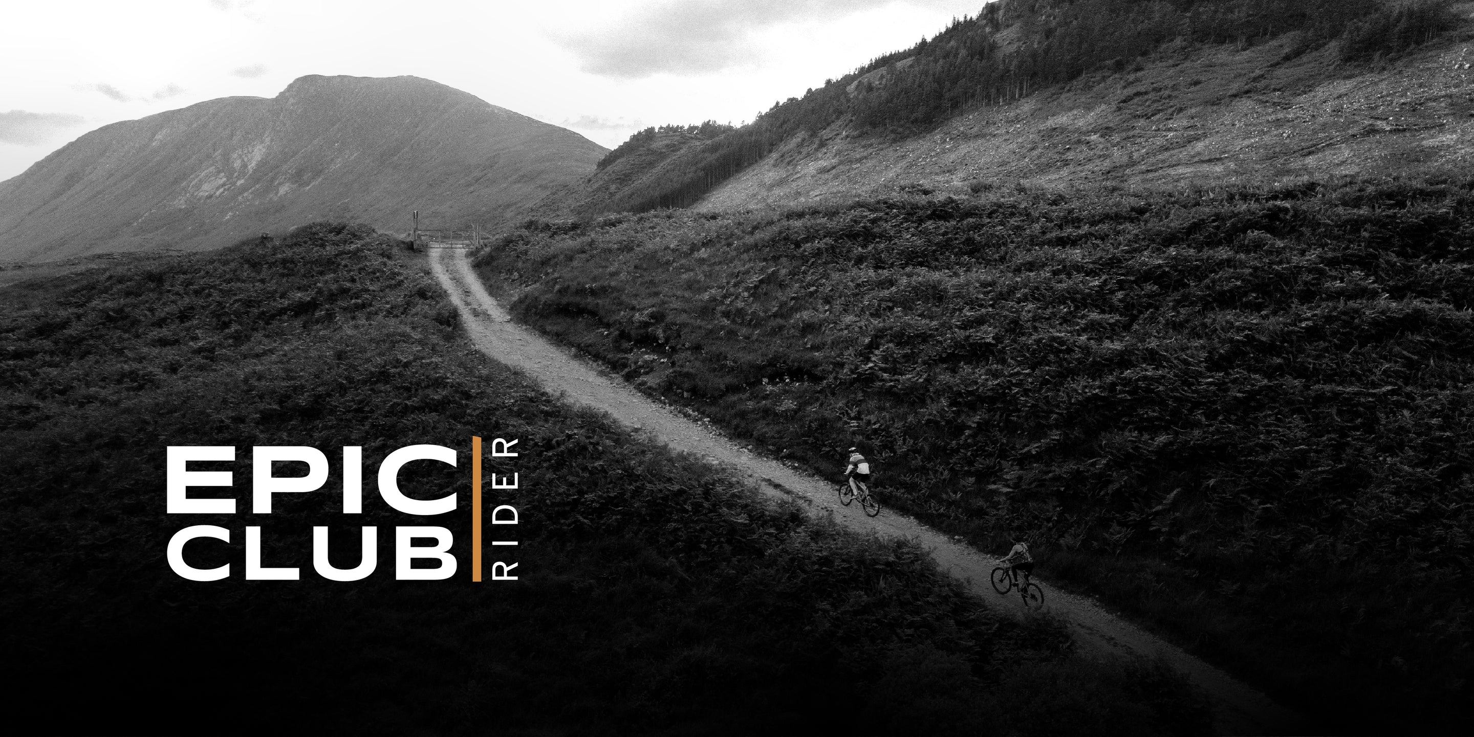 New Arrivals – Epic Cycles